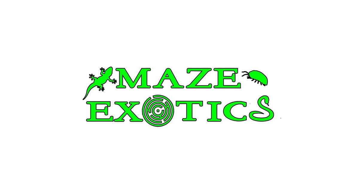 Show Schedule – MAZE Exotics